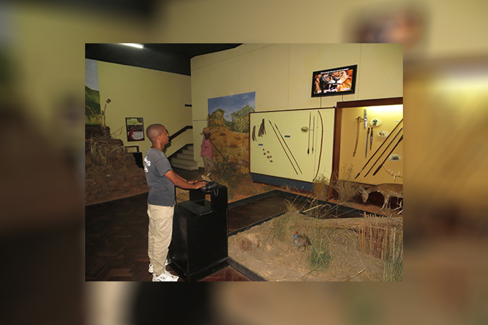 Revisiting misplaced collections, enhancing the museum experience ...