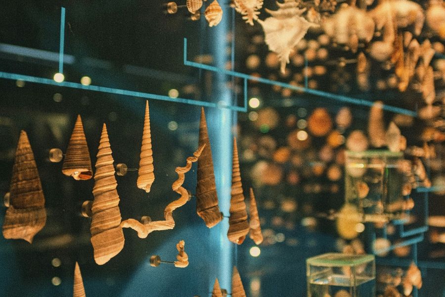 Conference: Storage - Current situation and new challenges ...